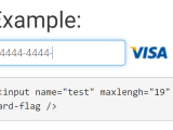 Credit Card Flag Directive For Angularjs Angular Script