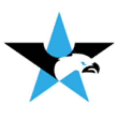 Eagle Sight Technologies P L C Github