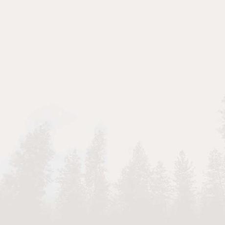 Cedar Cms Github