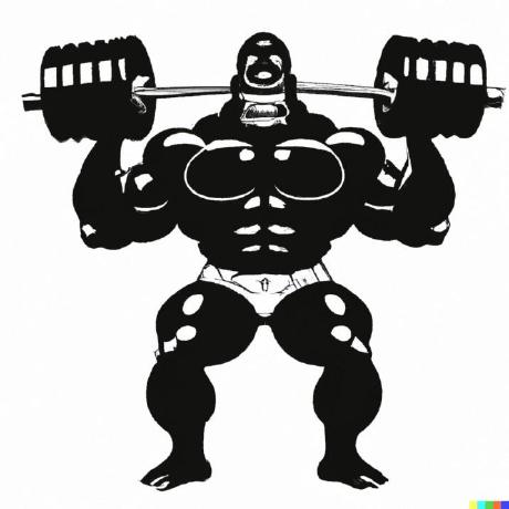 Gymbro Github