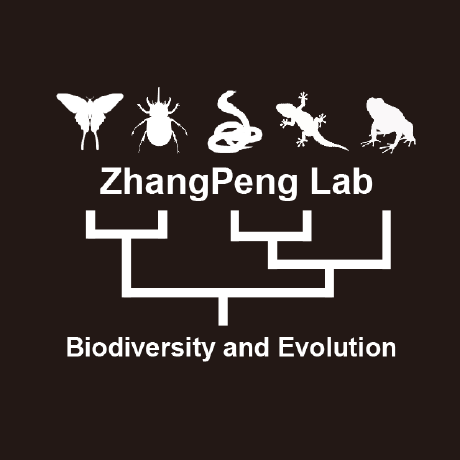 Zhangpenglab Github