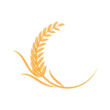Kathiravan Cloud Kathiravan T Github