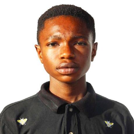 Noble Num Antwi Github