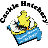 Cackle Hatchery Github