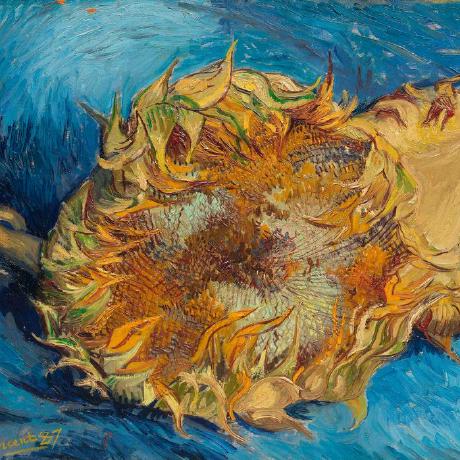 Axpeed Github