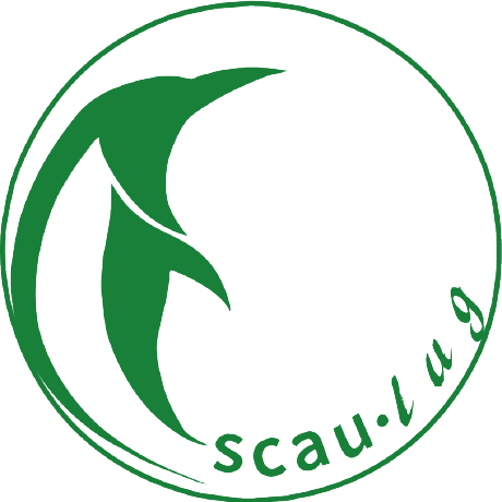 Scaulug Github