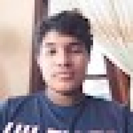 Shya Gg Github