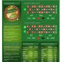 Roulette Strategy — Best Roulette Strategies For Beginners