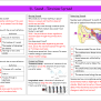Sound Revision Spread | Teaching Resources