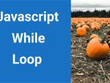 How Does A While Loop Start In Javascript Devpractical