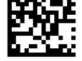 Generate Data Matrix Barcodes Documentation