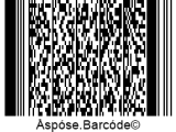 Generate Pdf417 Barcodes Documentation