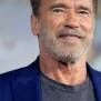 Arnold | Free Chat With AI Bot