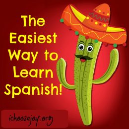 The Easiest Way To Learn Spanish I Choose Joy 