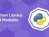 Python Libraries And Modules Pptx