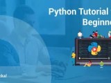 Python Tutorial For Beginners Python Crash Course Python