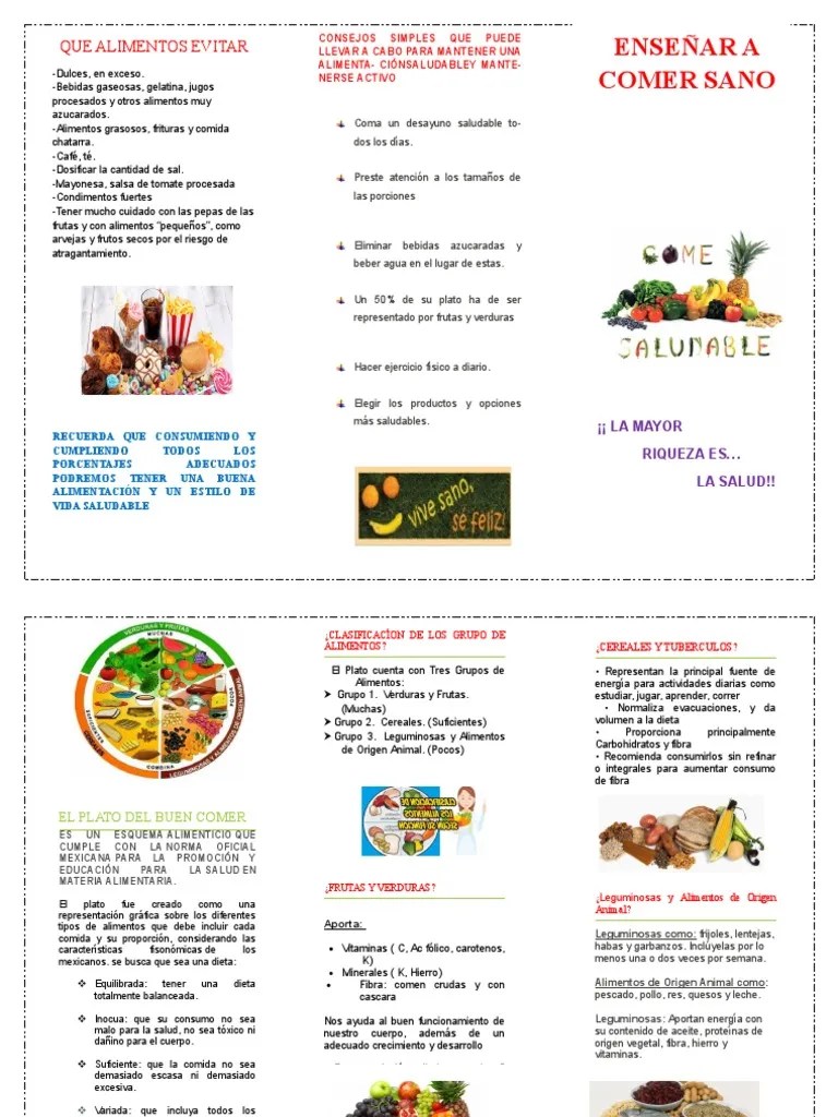 Plato Del Buen Comer | PDF | Dieta | Alimentos