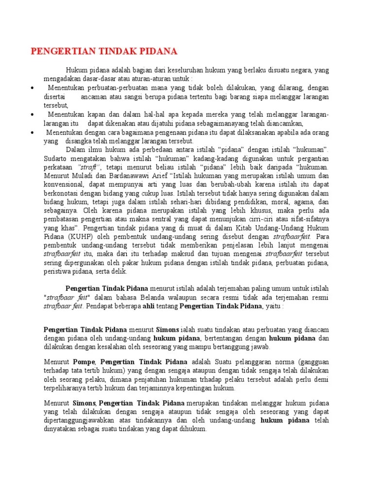 Pengertian Tindak Pidana | PDF