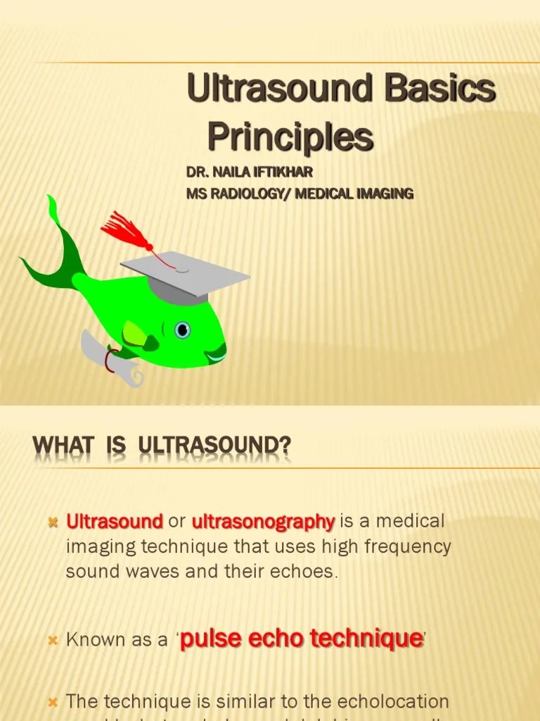 Understanding Ultrasound: An Introduction To The Principles And ...