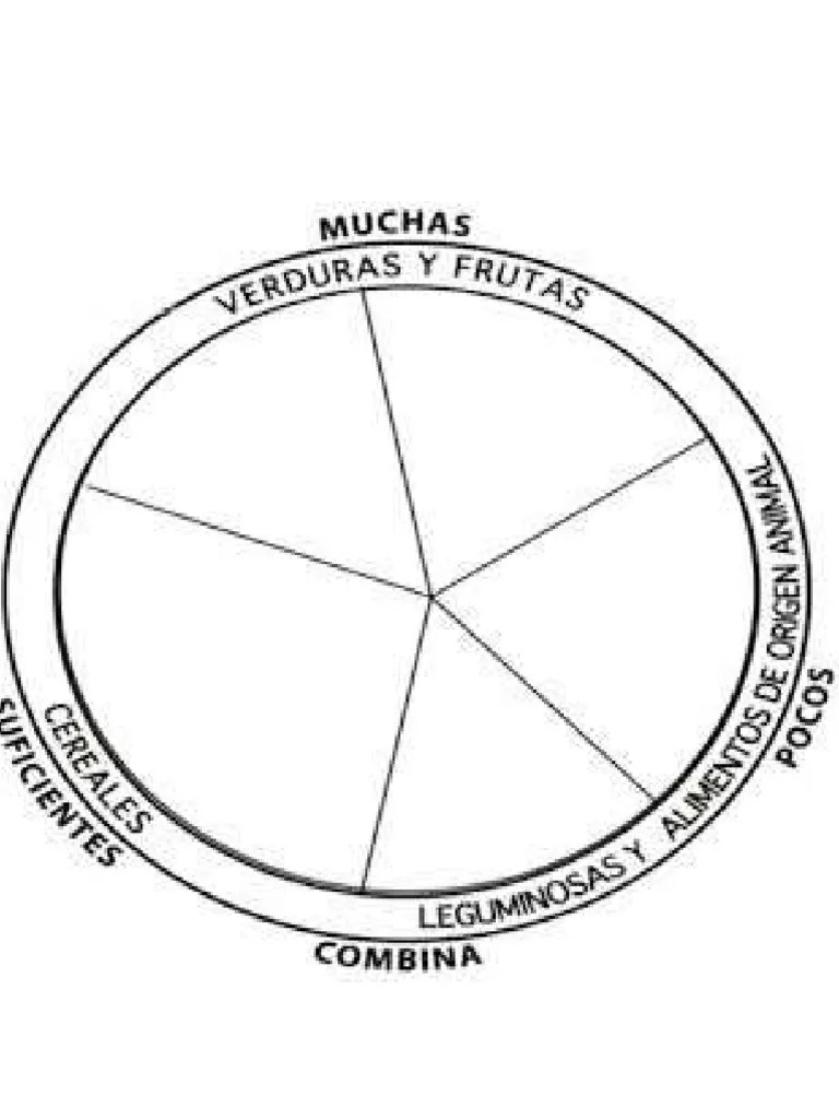 Plato Del Buen Comer | PDF