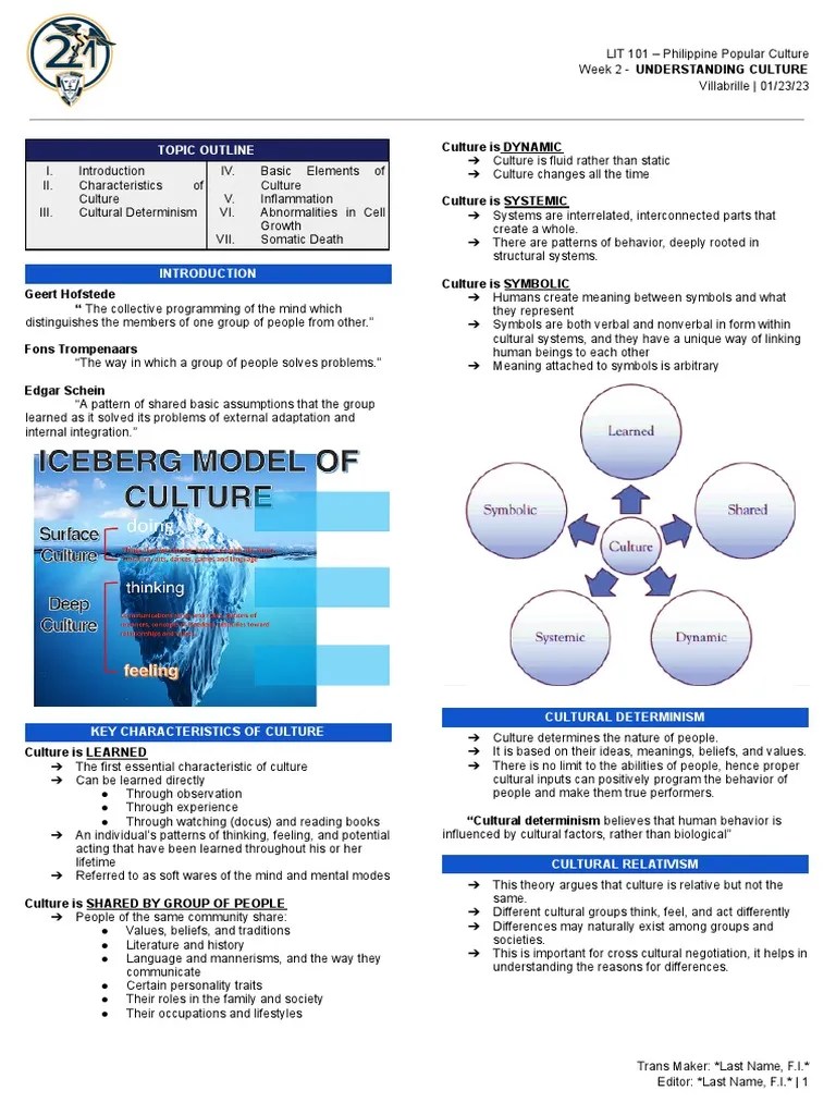 Understanding Culture | PDF