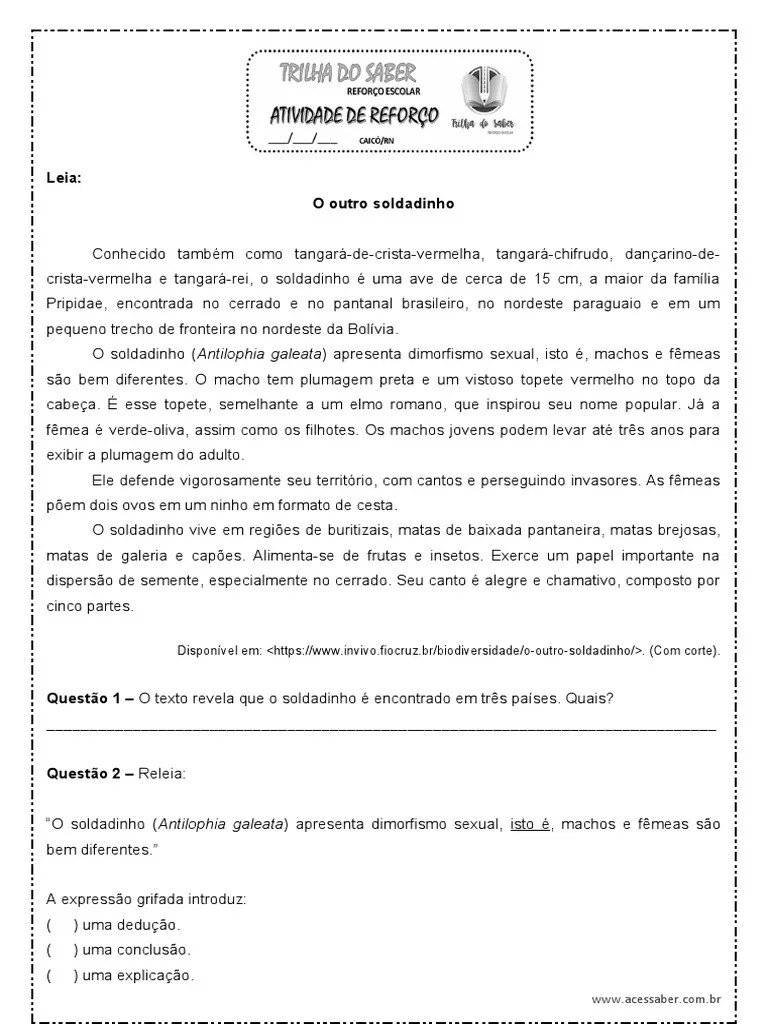 Interpretacao De Texto 5 Ano | PDF | Ornitologia | Aves