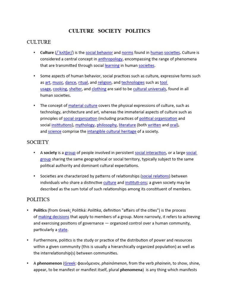 Culture Society Politics | PDF