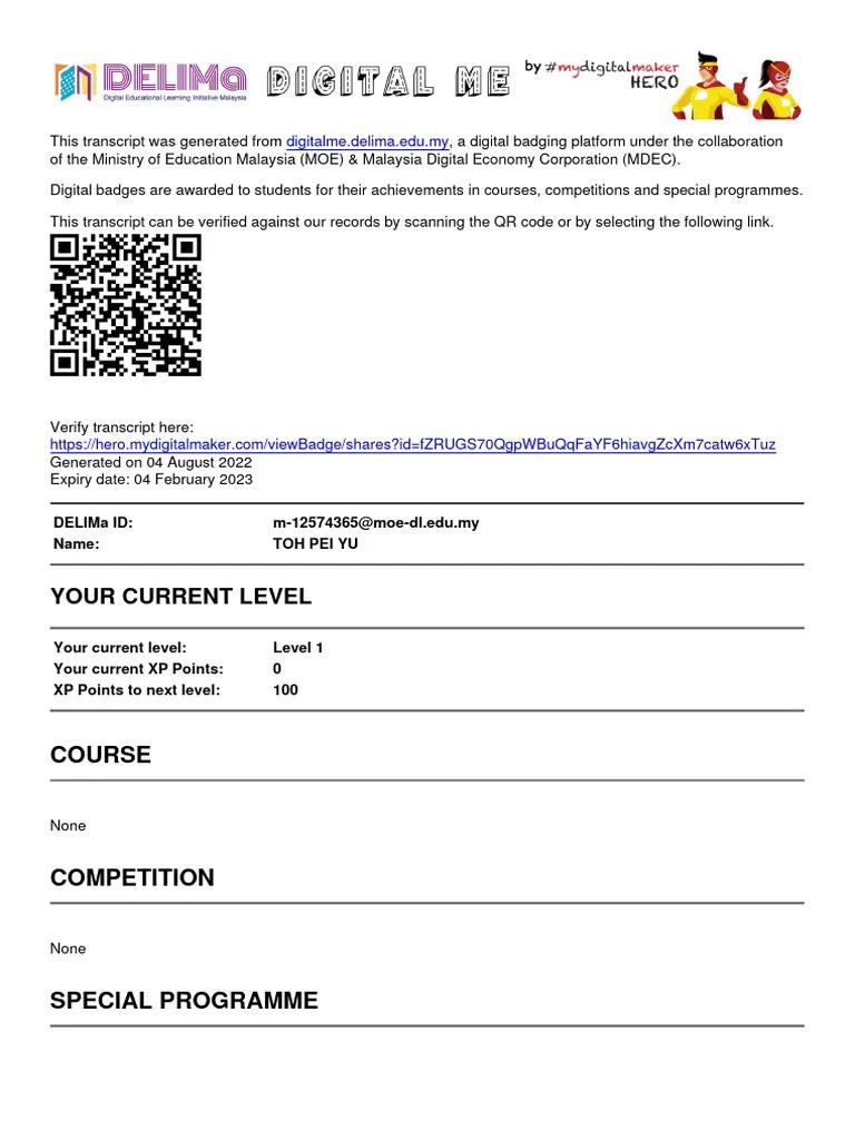 My Digital Hero | PDF