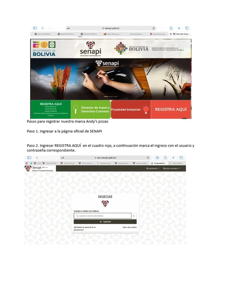 Propiedad Intelectual | PDF