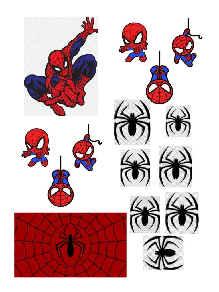 Spider | PDF