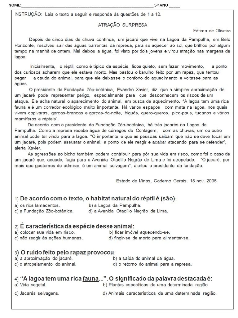 Interpretação 5 ANO | PDF