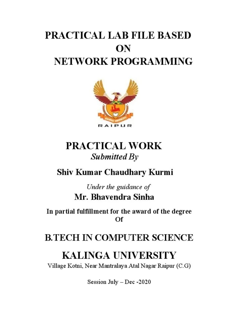 Practical Lab File Based ON Network Programming: B.Tech In Computer ...