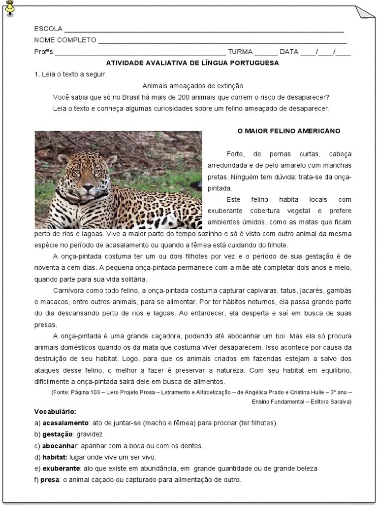 Texto Informativo - Onça Pintada | PDF | Jaguar