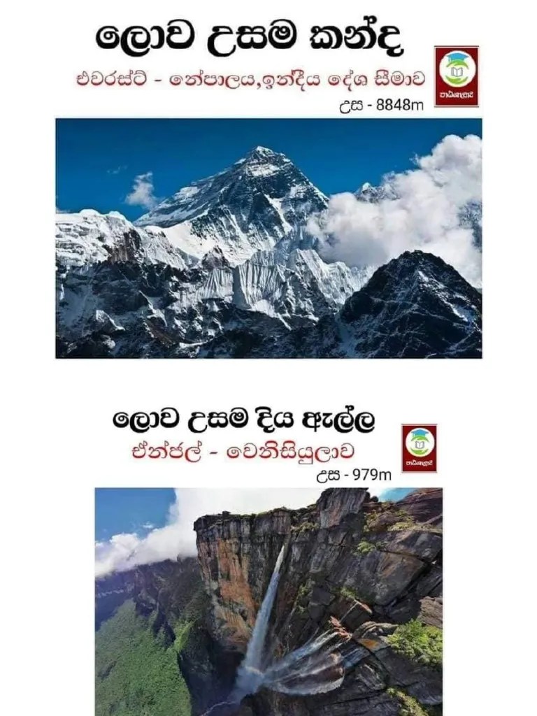 Interesting Facts | PDF