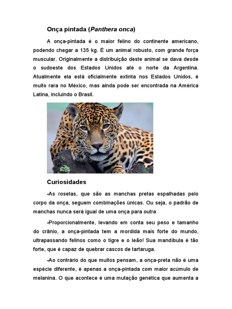 Onça Pintada | PDF