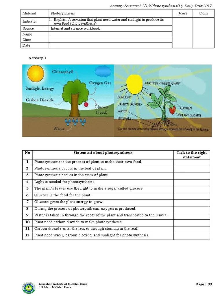 Photosynthesis | PDF