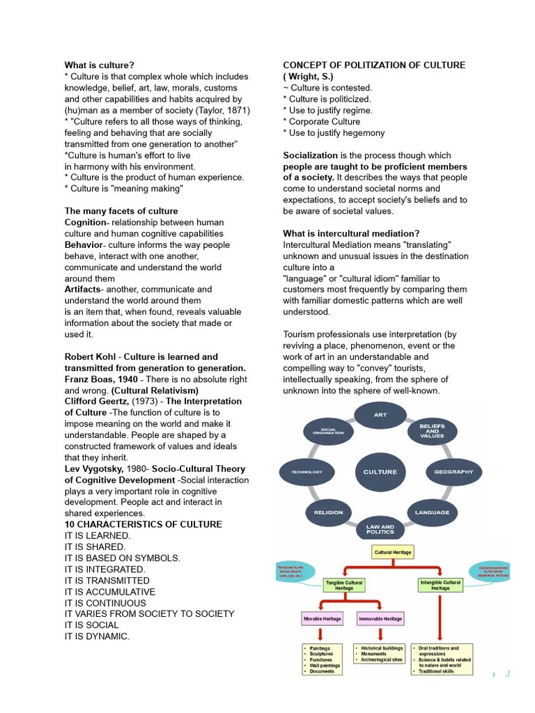 Understanding Culture | PDF