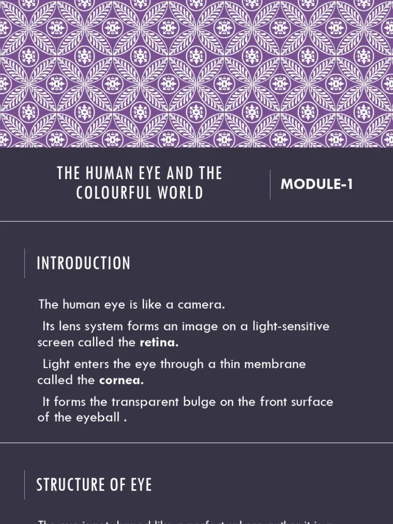The Human Eye And The Colourful World PPT-Mod-1 (10TH) | PDF | Human ...