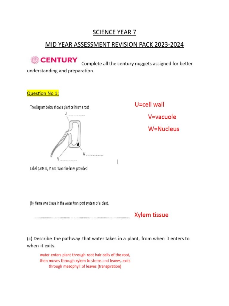 Year 7 Science Revision Pack Key | PDF