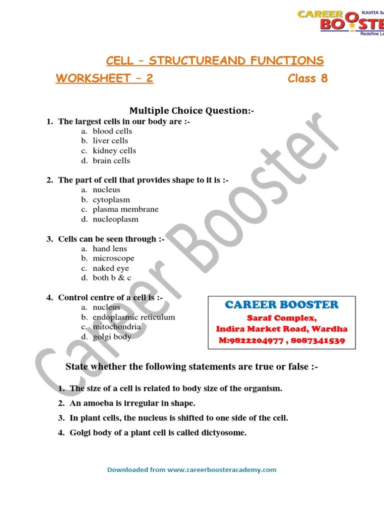Class 8 - Science - Cell - Structure And Functions - WORKSHEET | PDF ...