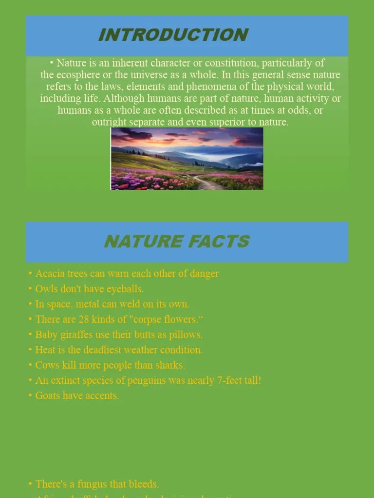 Of Facts | PDF | Nature | Elephant