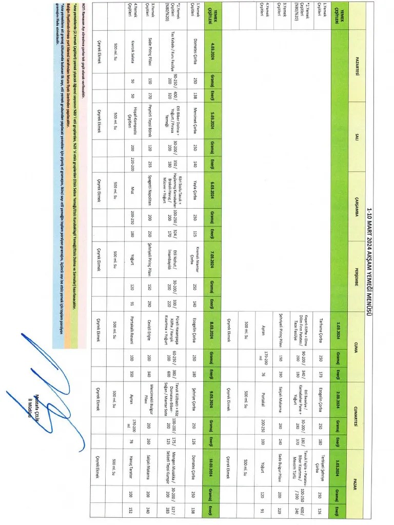Mart Ayi Aksam Yemegi Menusu | PDF