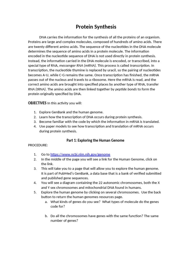Protein Synthesis Updated | PDF | Translation (Biology) | Rna