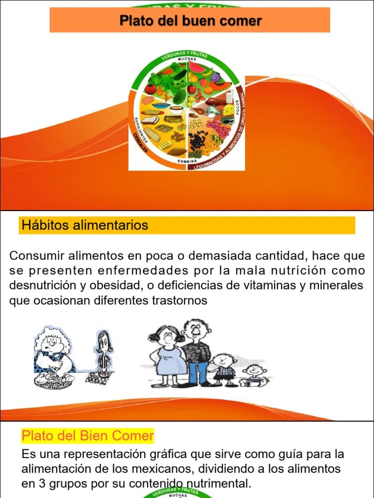 Plato Del Buen Comer | PDF | Alimentos | Cereales