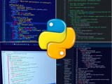 Ultimate Guide To Javascript Python And Java Tutorials Moldstud