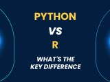 Python Vs R Know The Key Difference