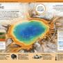 1,000 Amazing Weird Facts By DK - Penguin Books Australia