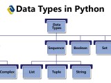 Variables In Python Datatypes In Python Python Geeks