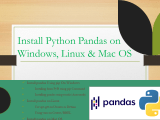 Best Way To Install Python On Mac Groupsnaa