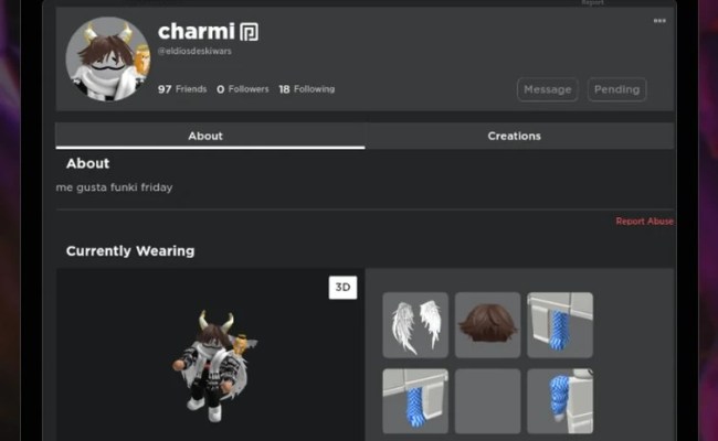 I Got Banned | Fandom